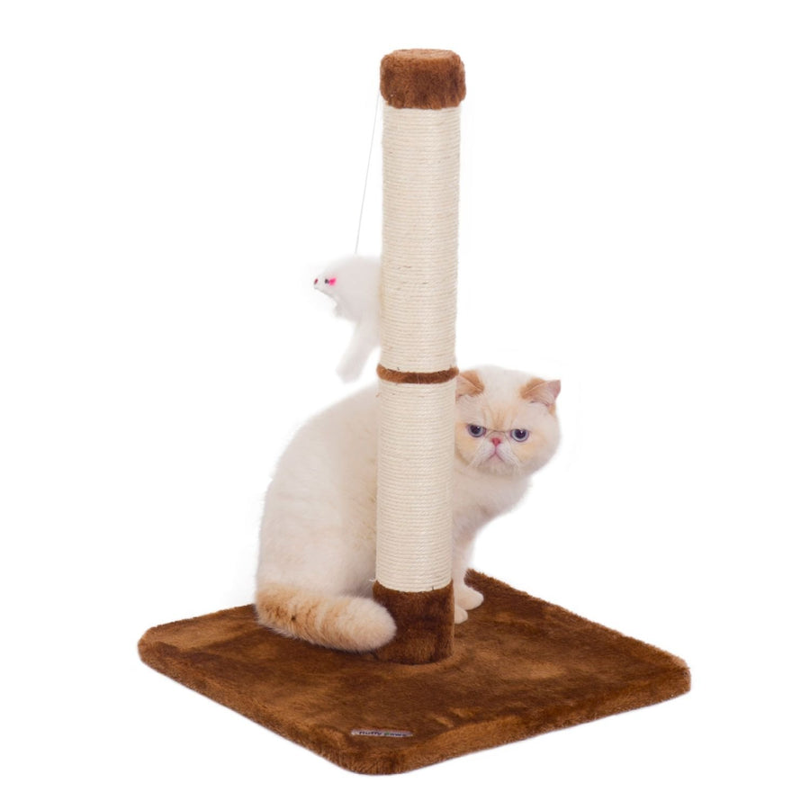 Cat Trees – Fluffy Paws Pets