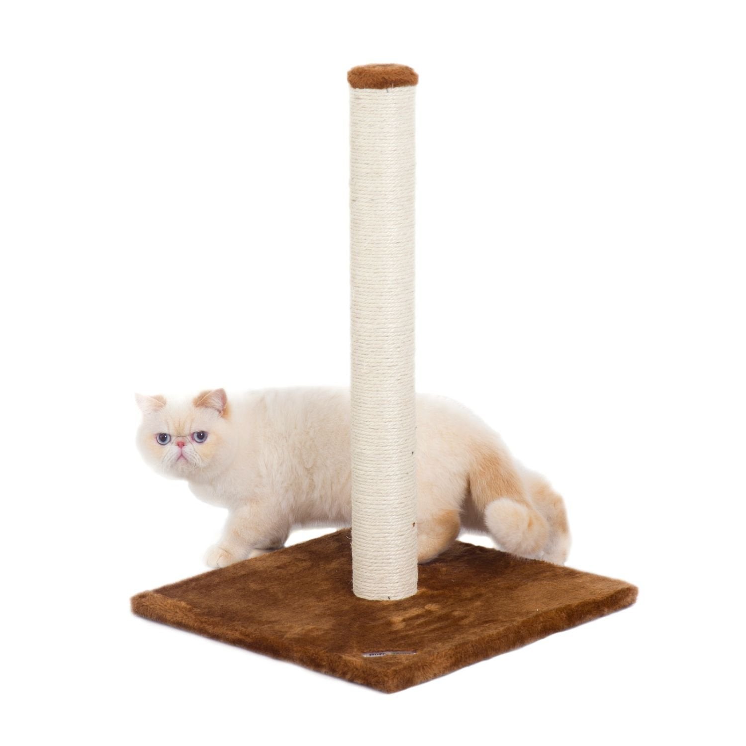 Cat Trees – Fluffy Paws Pets